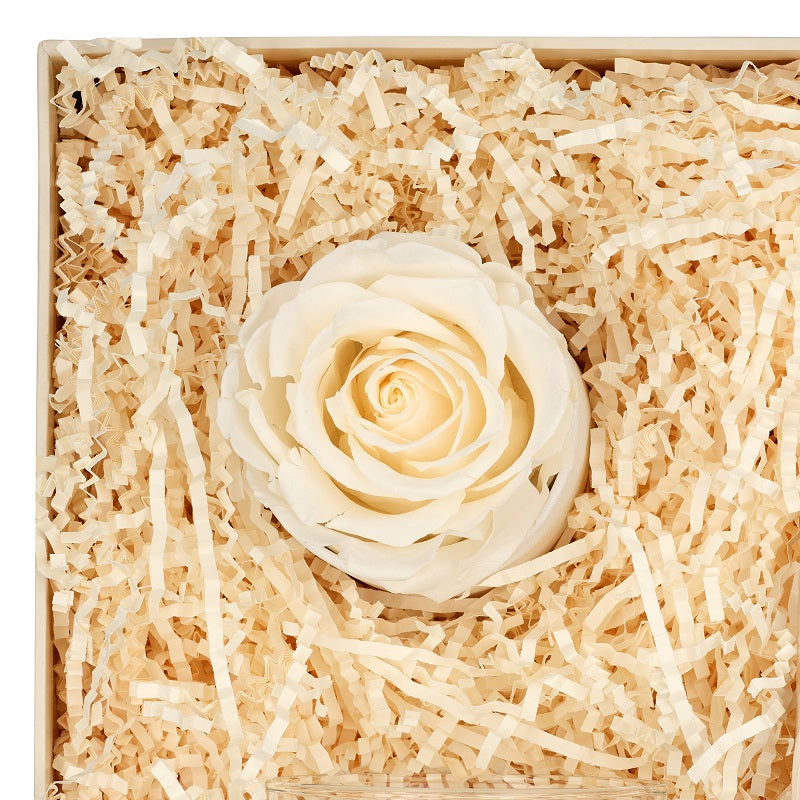 Signature Sympathy Box – Uncommon Condolences Store